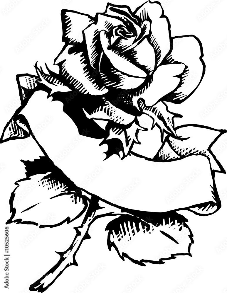 rose with banner ink painting Stock Vector | Adobe Stock