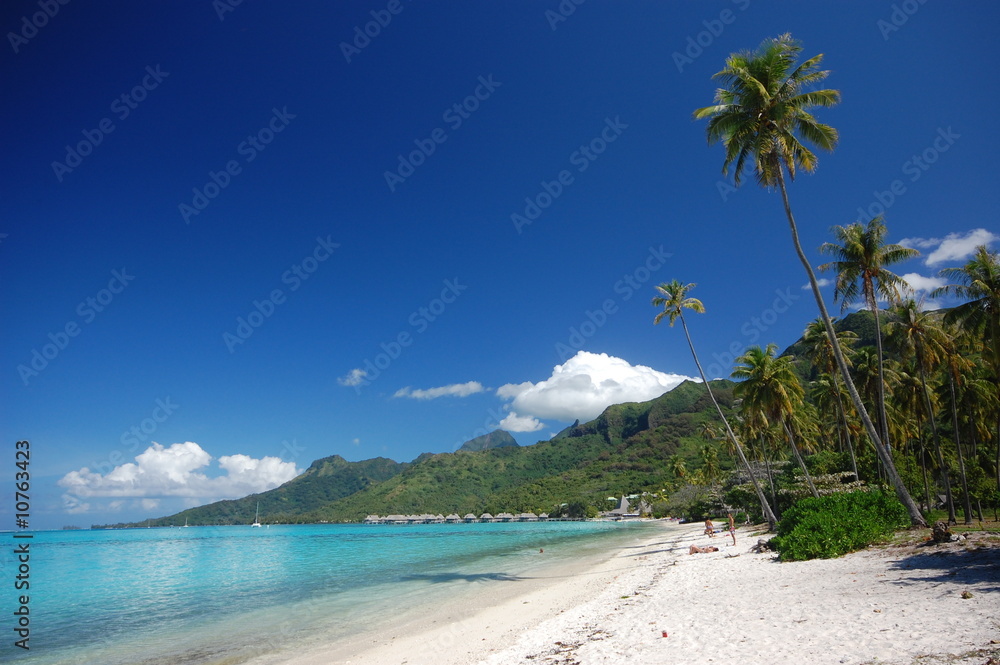 Temae Beach, Moorea Tahiti, French Polynesia Stock Photo | Adobe Stock