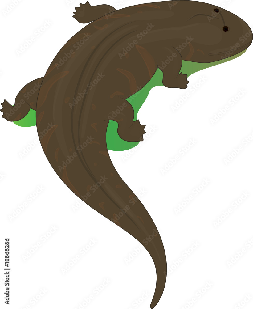 Tiktaalik Stock Vector | Adobe Stock