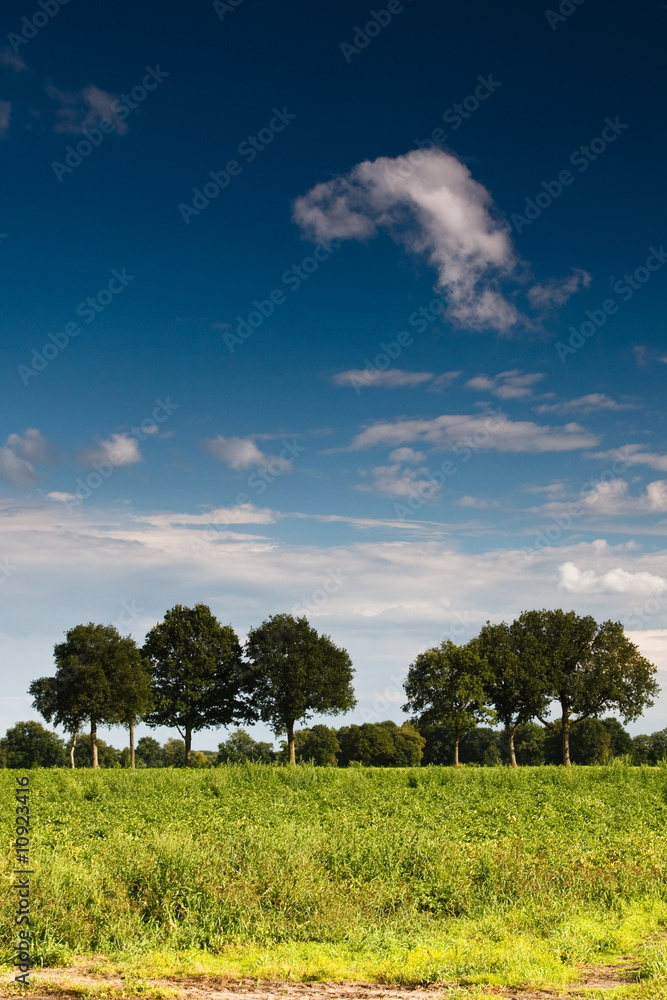 Beautiful scenery with a treeline and blue cloudy sky Stock Photo ...