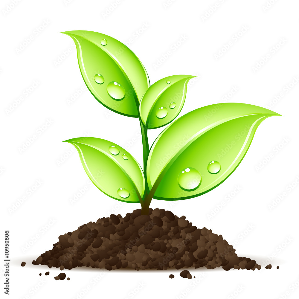 Jeune plante qui pousse Stock Vector | Adobe Stock