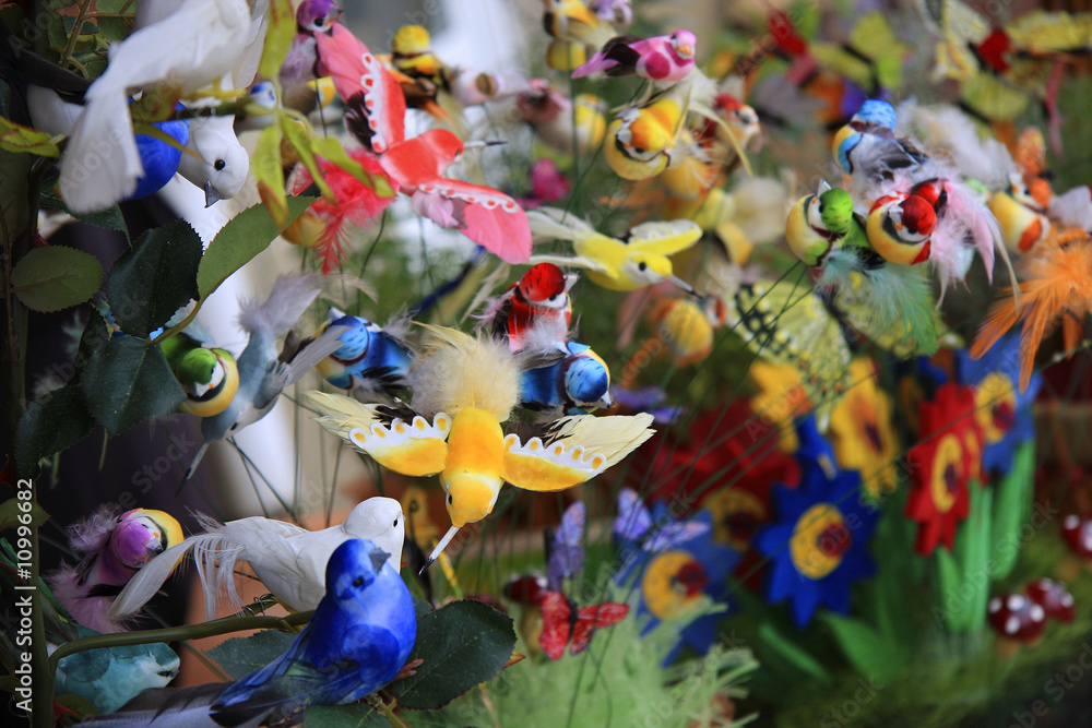 pajaros de colores foto de Stock | Adobe Stock