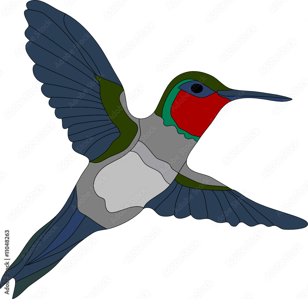vector - hummingbird isolated on white background Stock Vector | Adobe ...