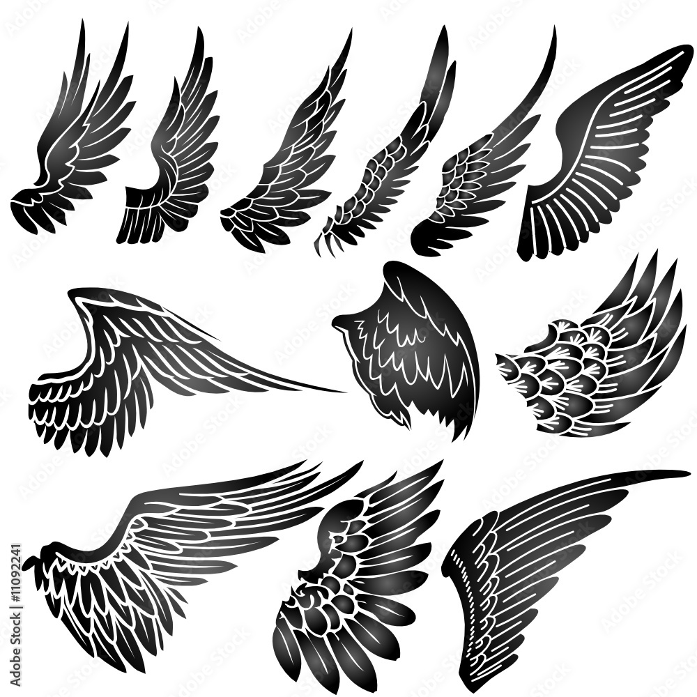wings silhouette vector Stock Vector | Adobe Stock