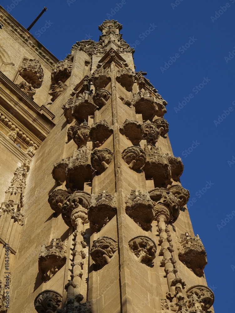 Pináculo gotico de la Catedral Nueva de Salamanca (España) foto de ...