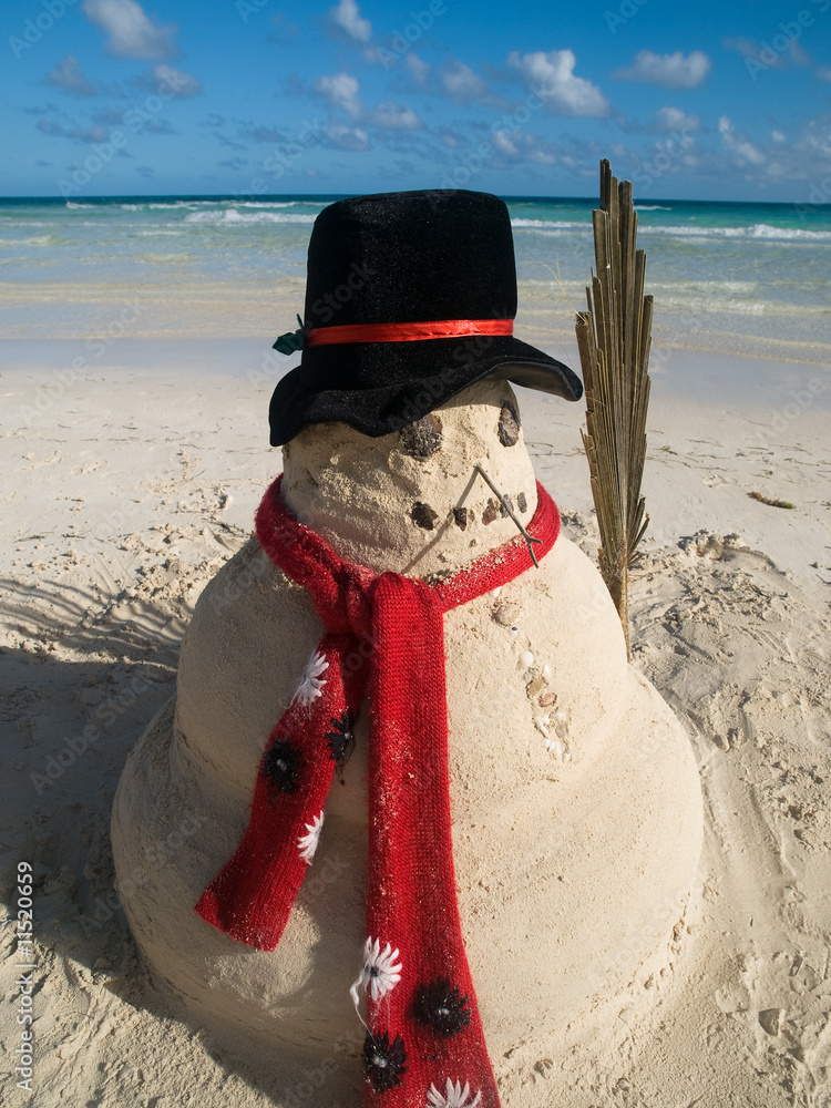 BEACH SNOWMAN Stock Photo | Adobe Stock