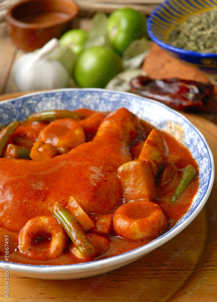 Mole amarillo con pollo. Oaxaca, México Stock Photo | Adobe Stock