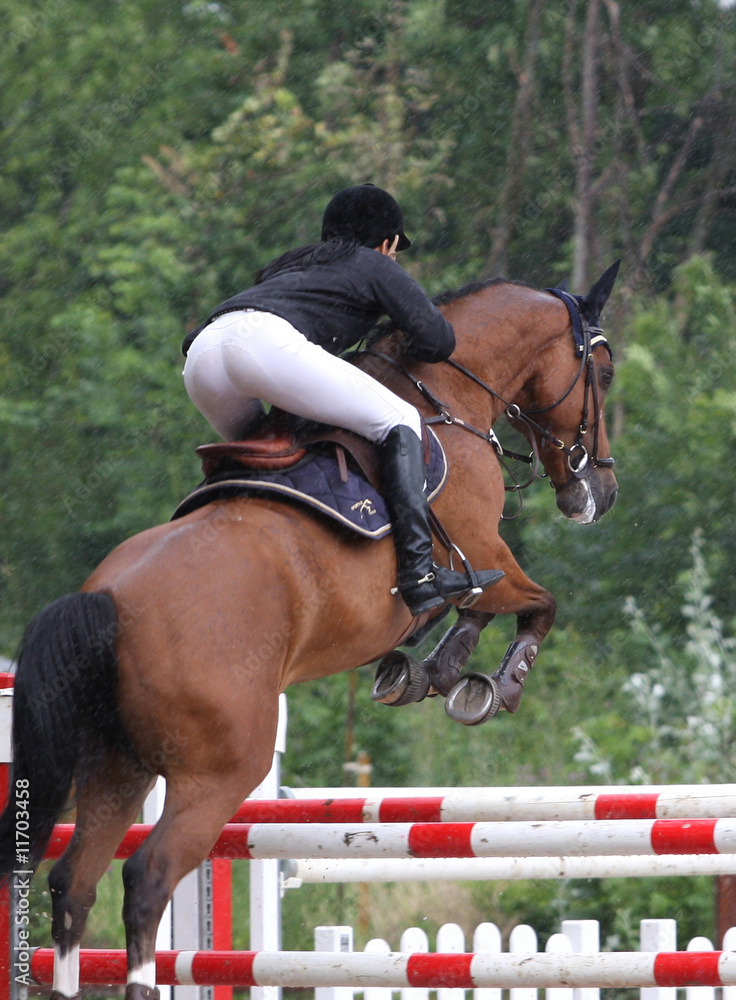 Springreiterin Stock-Foto | Adobe Stock