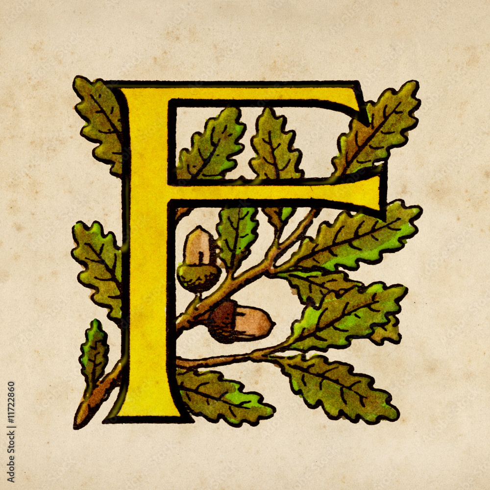 Illustrazione Stock CAPOLETTERA F DECORATO CON FOGLIE DI QUERCIA ...