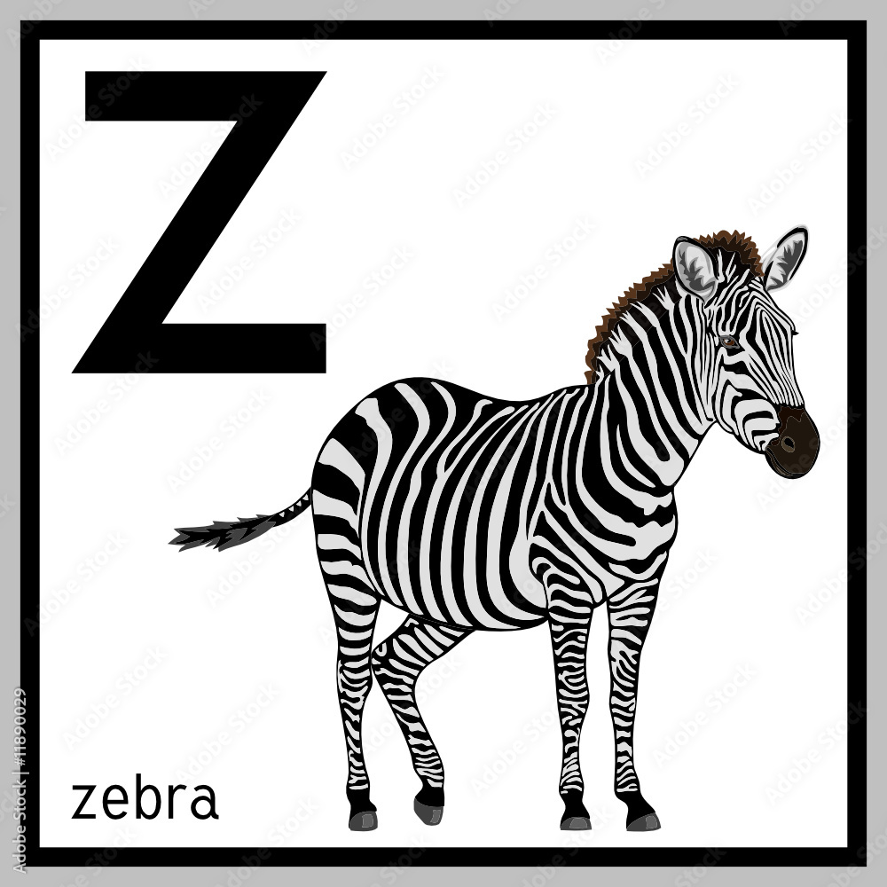 The Letter I In Zebra