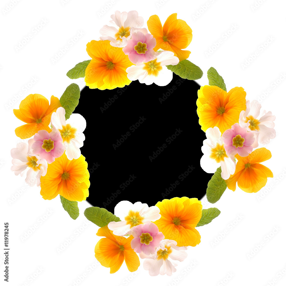 Rahmen aus Blumen Stock-Foto | Adobe Stock