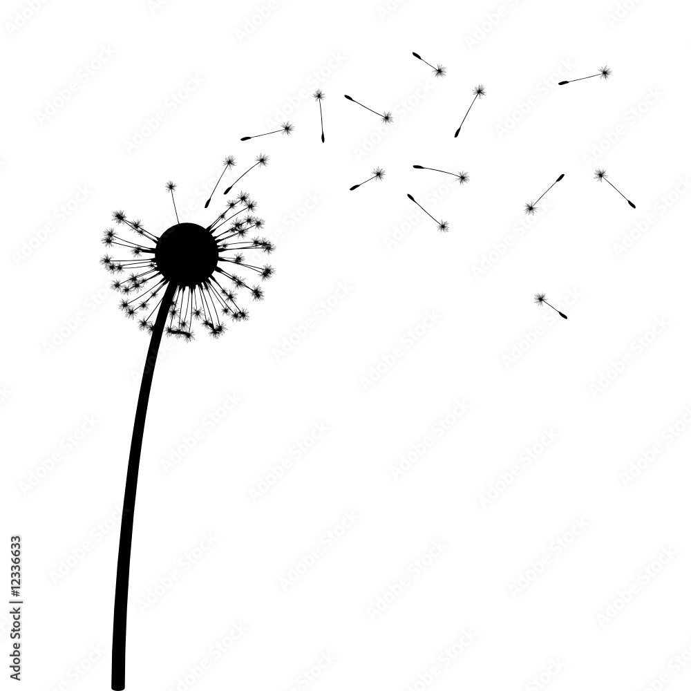 pusteblume III Stock-Vektorgrafik | Adobe Stock