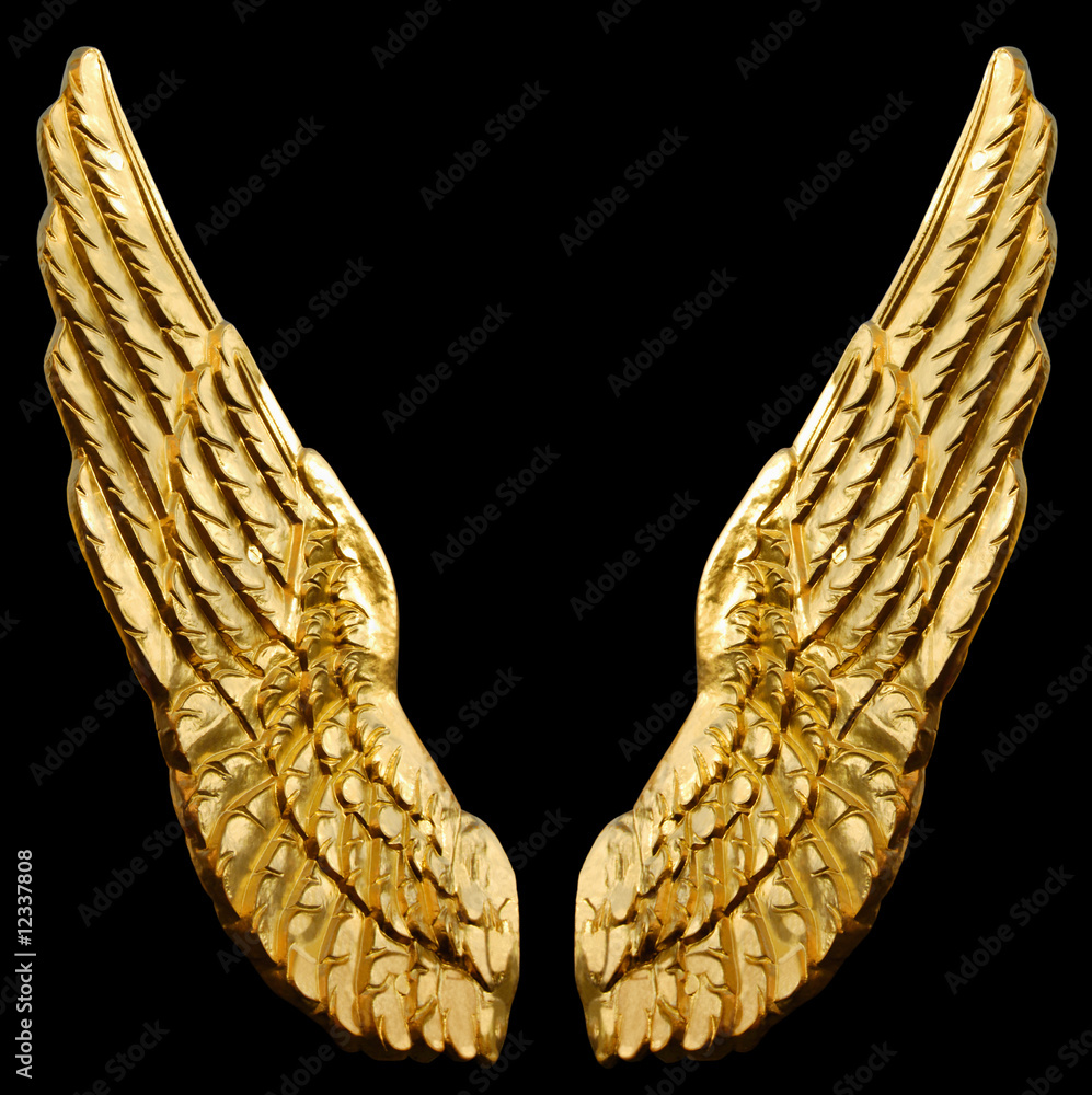 Golden Wings Stock Illustration | Adobe Stock