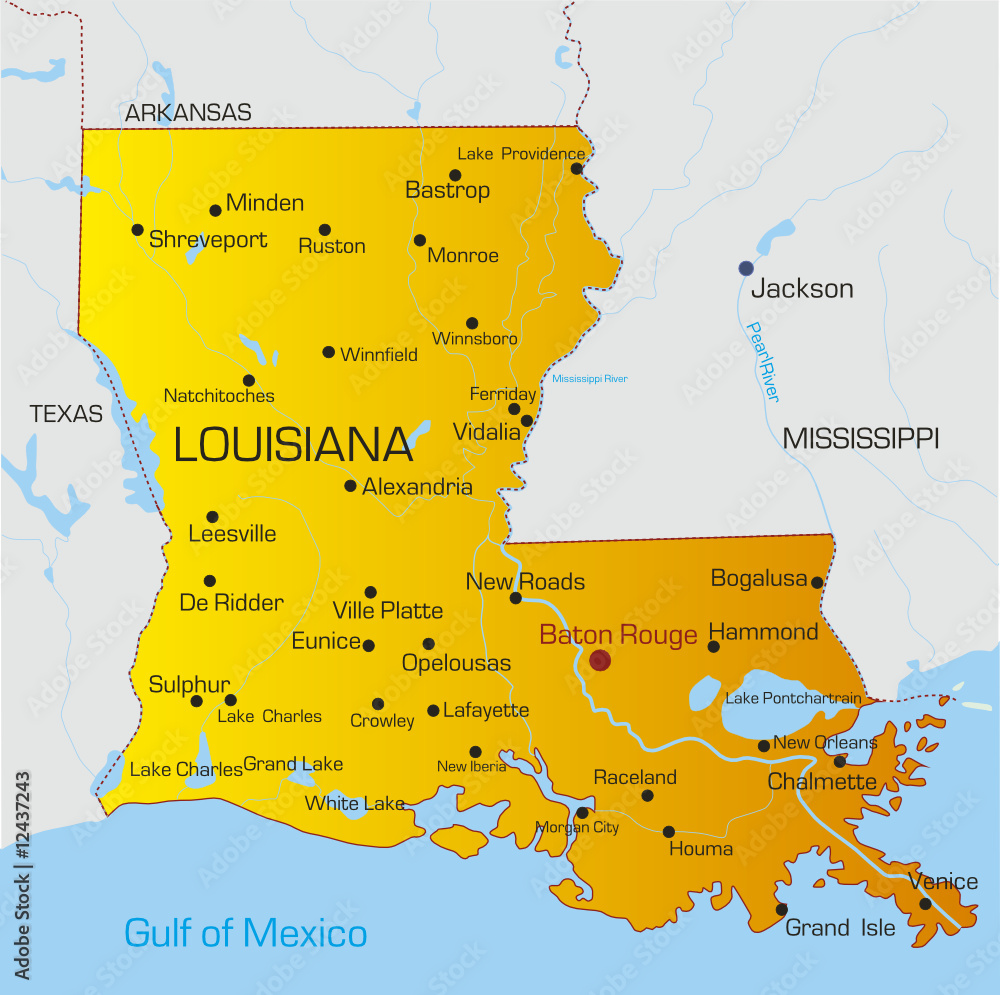 Vector color map of Louisiana state. Usa Stock Vector | Adobe Stock