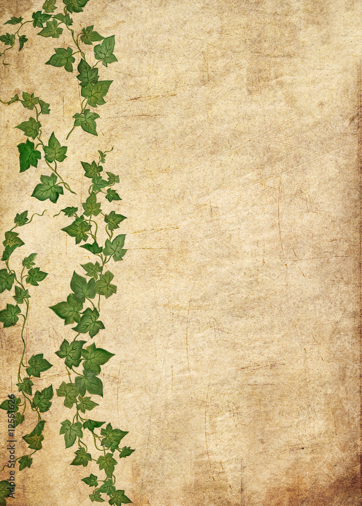 Grunge vine background Stock Photo | Adobe Stock