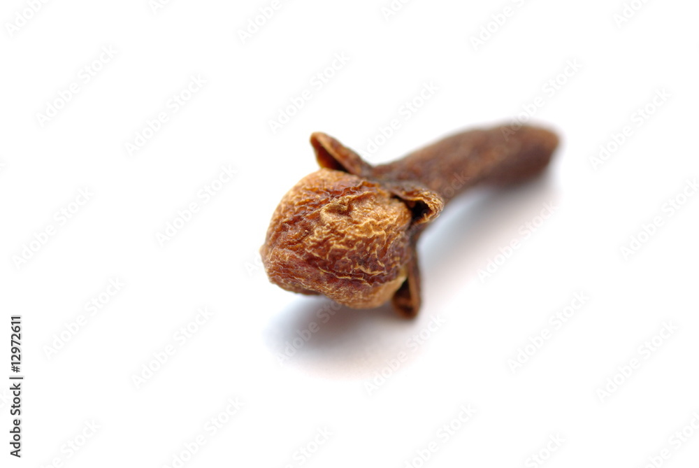 un clou de girofle Stock Photo | Adobe Stock