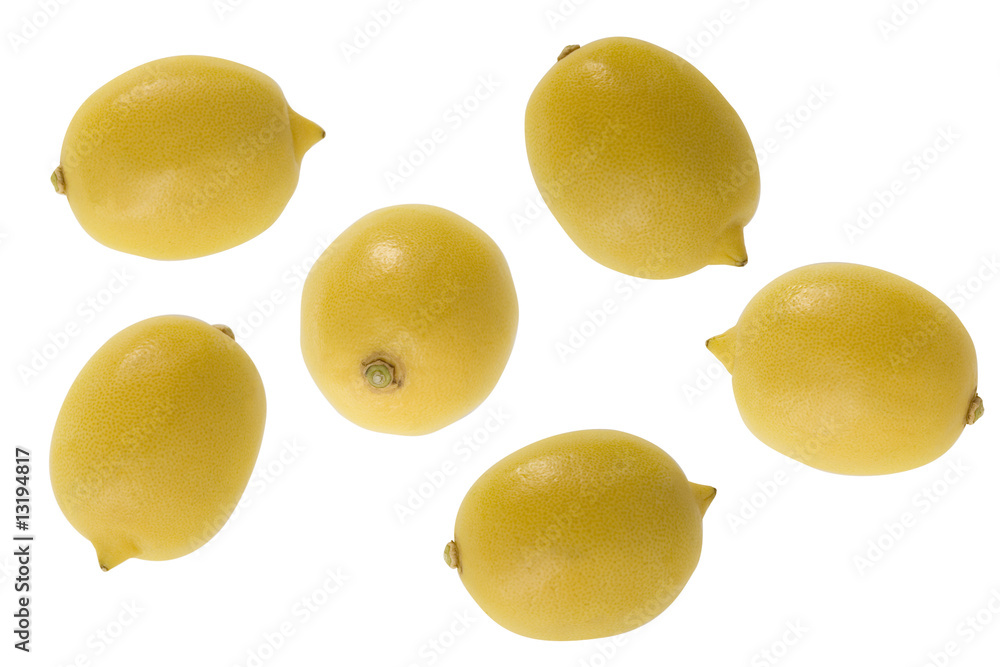 collection of yellow lemons isolated on white Stock Photo | Adobe Stock