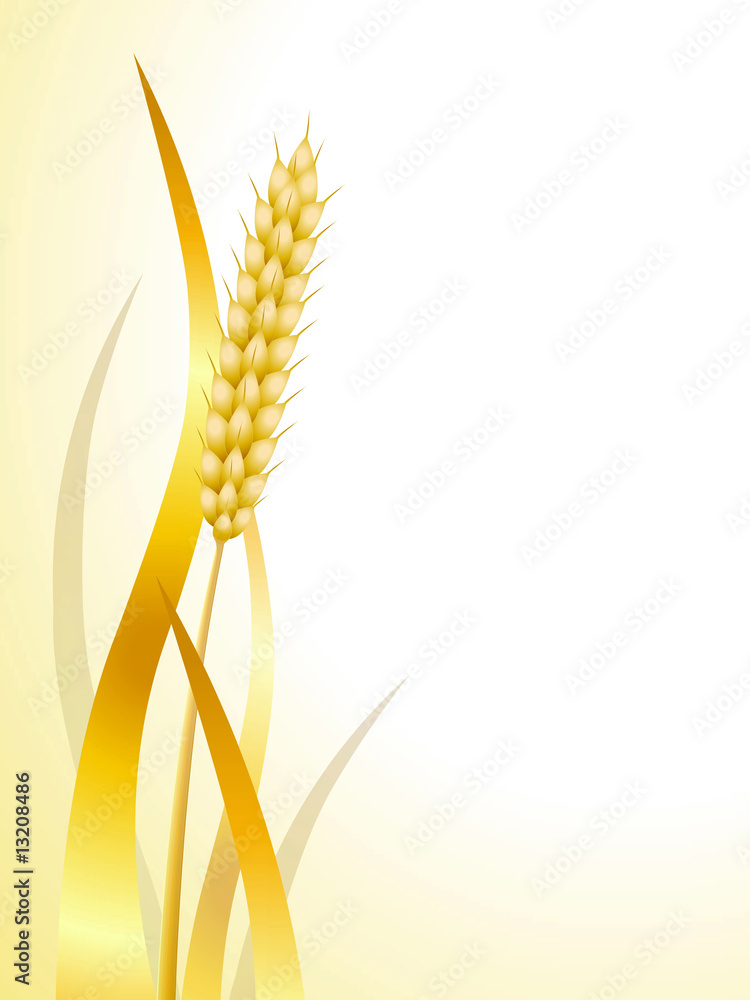 Epi de blé Stock Illustration | Adobe Stock