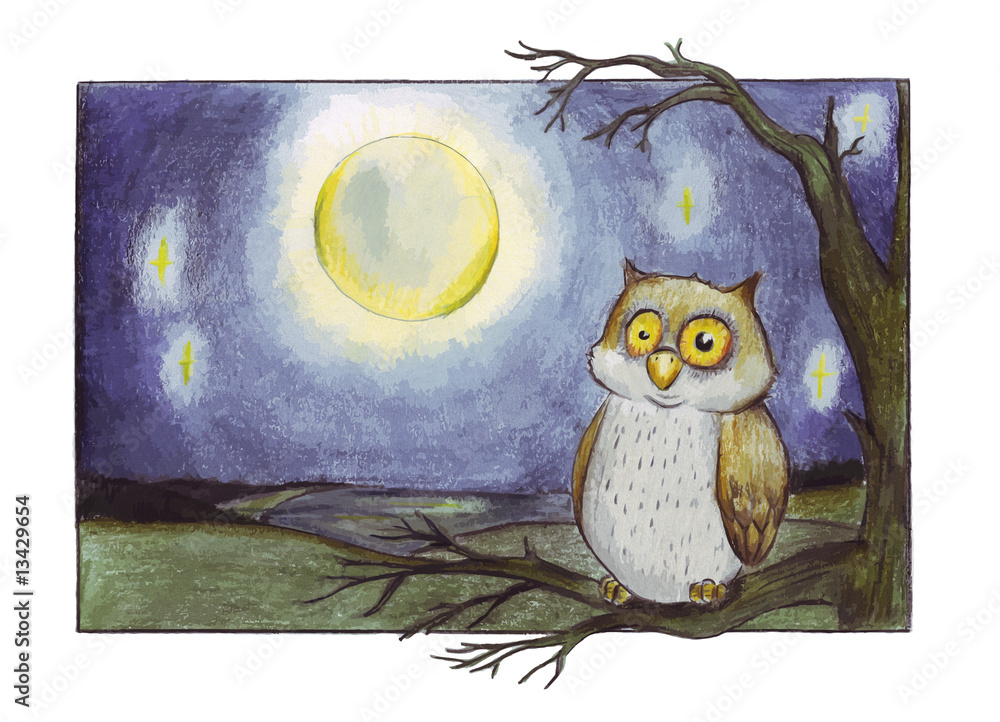 Eule bei Nacht Stock-Illustration | Adobe Stock