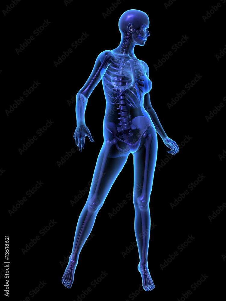 X-ray illustration of female human body and skeleton Stock Illustration | Adobe Stock