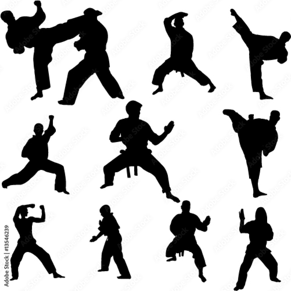 karate fighters - vector vector de Stock | Adobe Stock