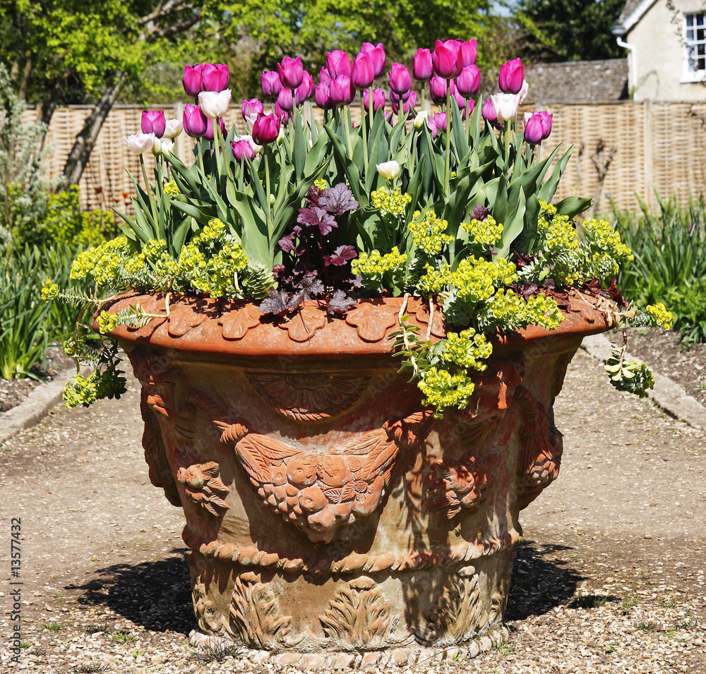 Large Planter of Spring Flowers Stock Photo | Adobe Stock