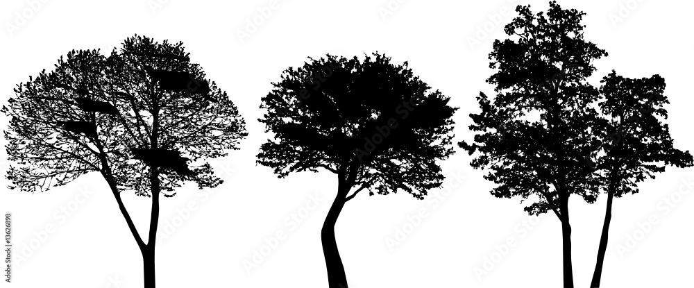 trees - vector set Stock Vector | Adobe Stock