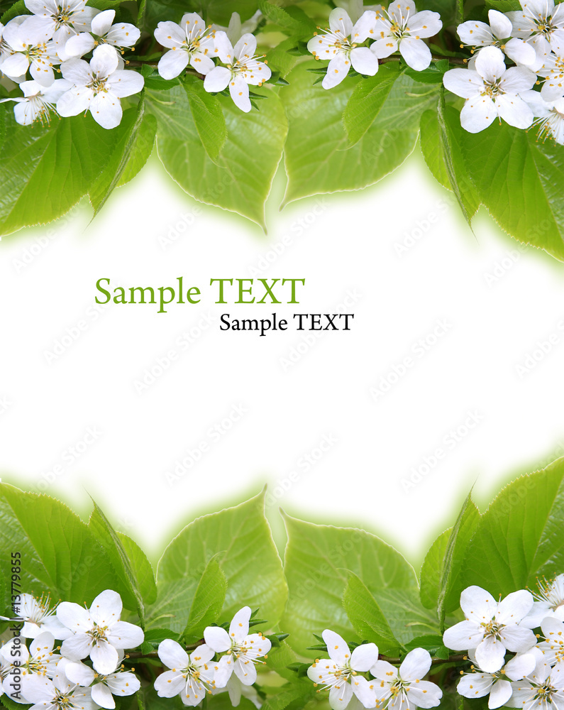 Cherry Blossom Border Stock Photo | Adobe Stock