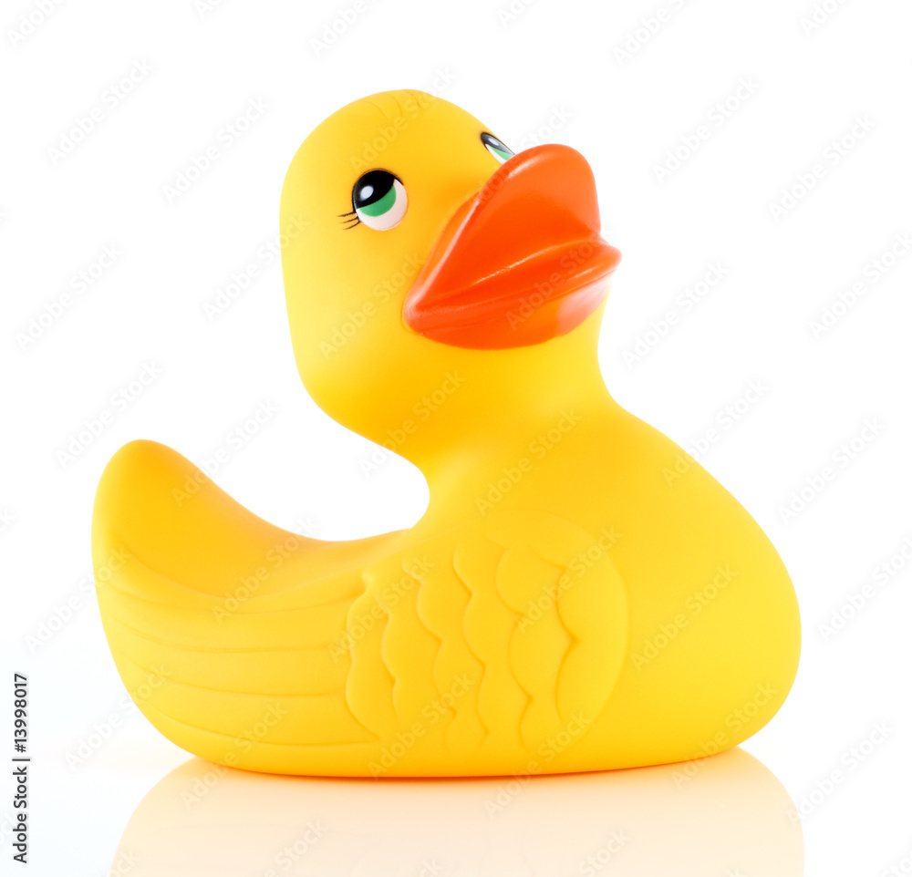 Rubber duck Stock Photo | Adobe Stock