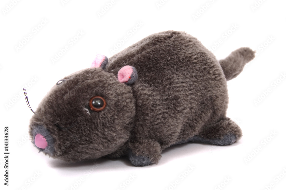 toy - rat Stock Photo | Adobe Stock