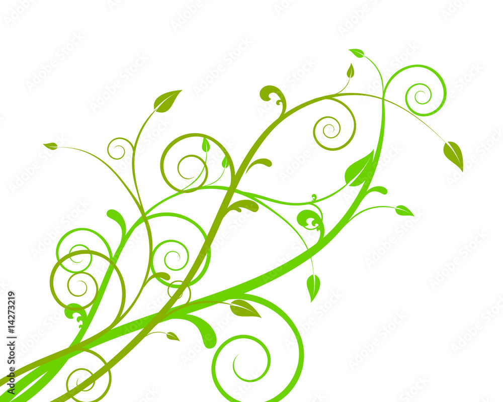 florale ranken Stock-Vektorgrafik | Adobe Stock