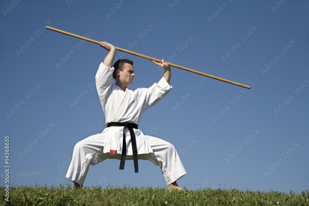 world champion of Karate - kata - training Stock Photo | Adobe Stock