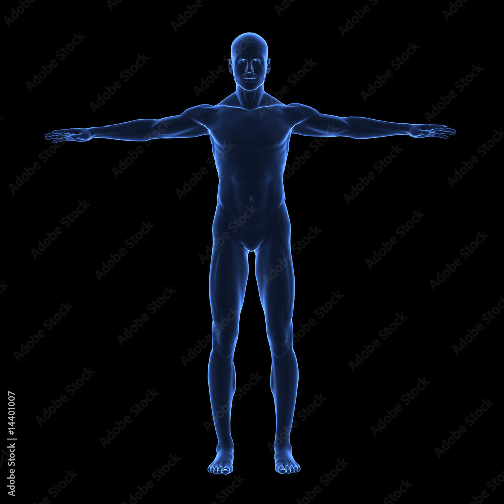 X ray human body Stock Illustration | Adobe Stock