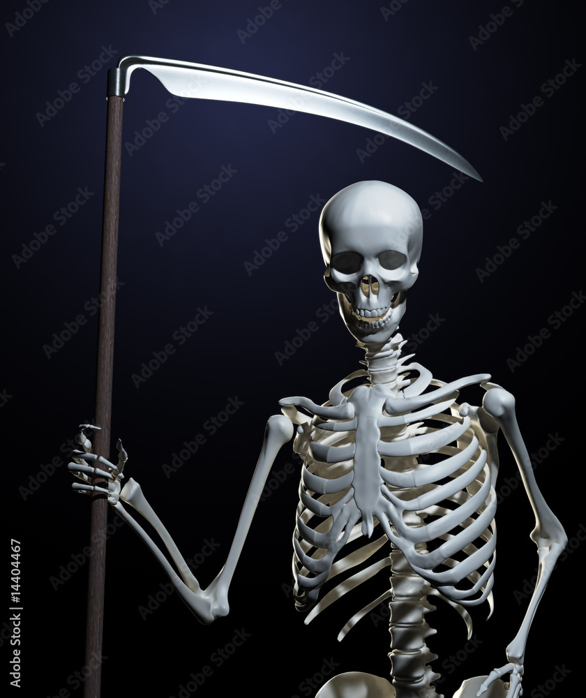 The Grim Reaper - skeleton holding a scythe illustration Stock ...