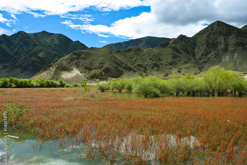 beautiful scene Stock Photo | Adobe Stock
