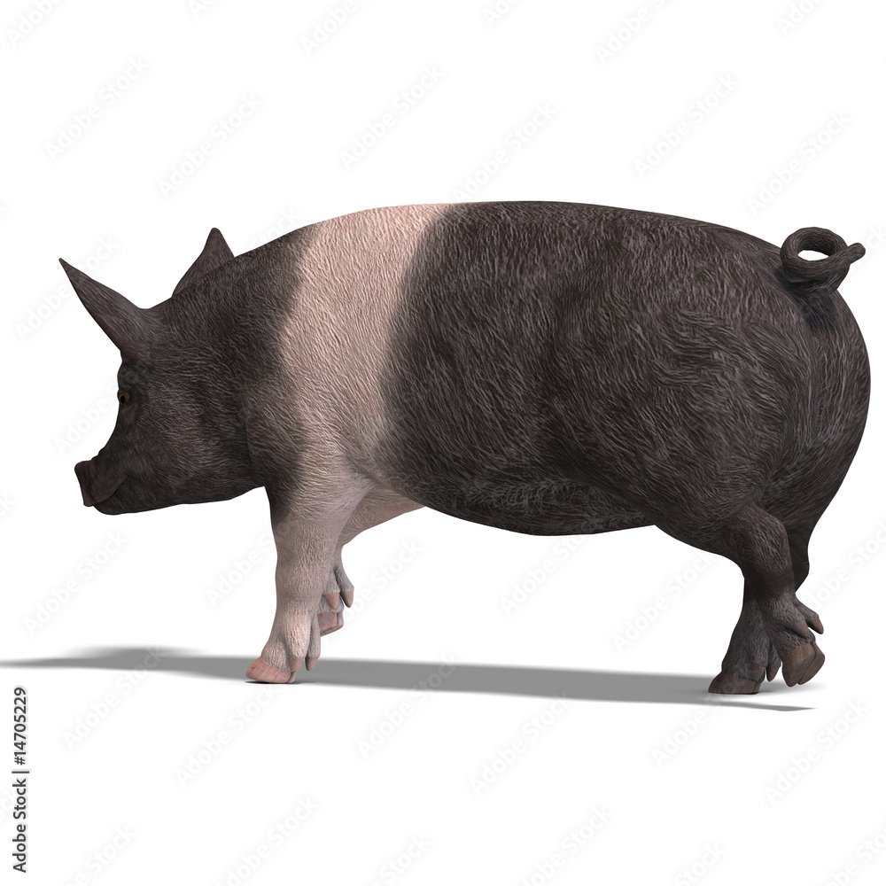 pig render Stock Illustration | Adobe Stock