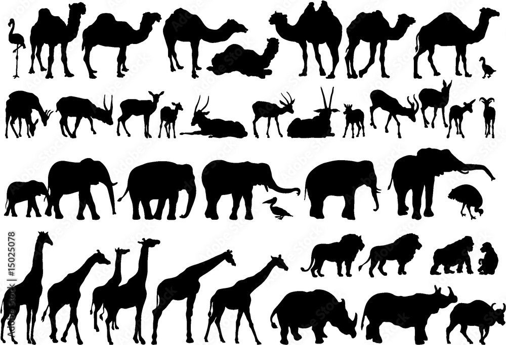 african animals silhouettes Stock Vector | Adobe Stock