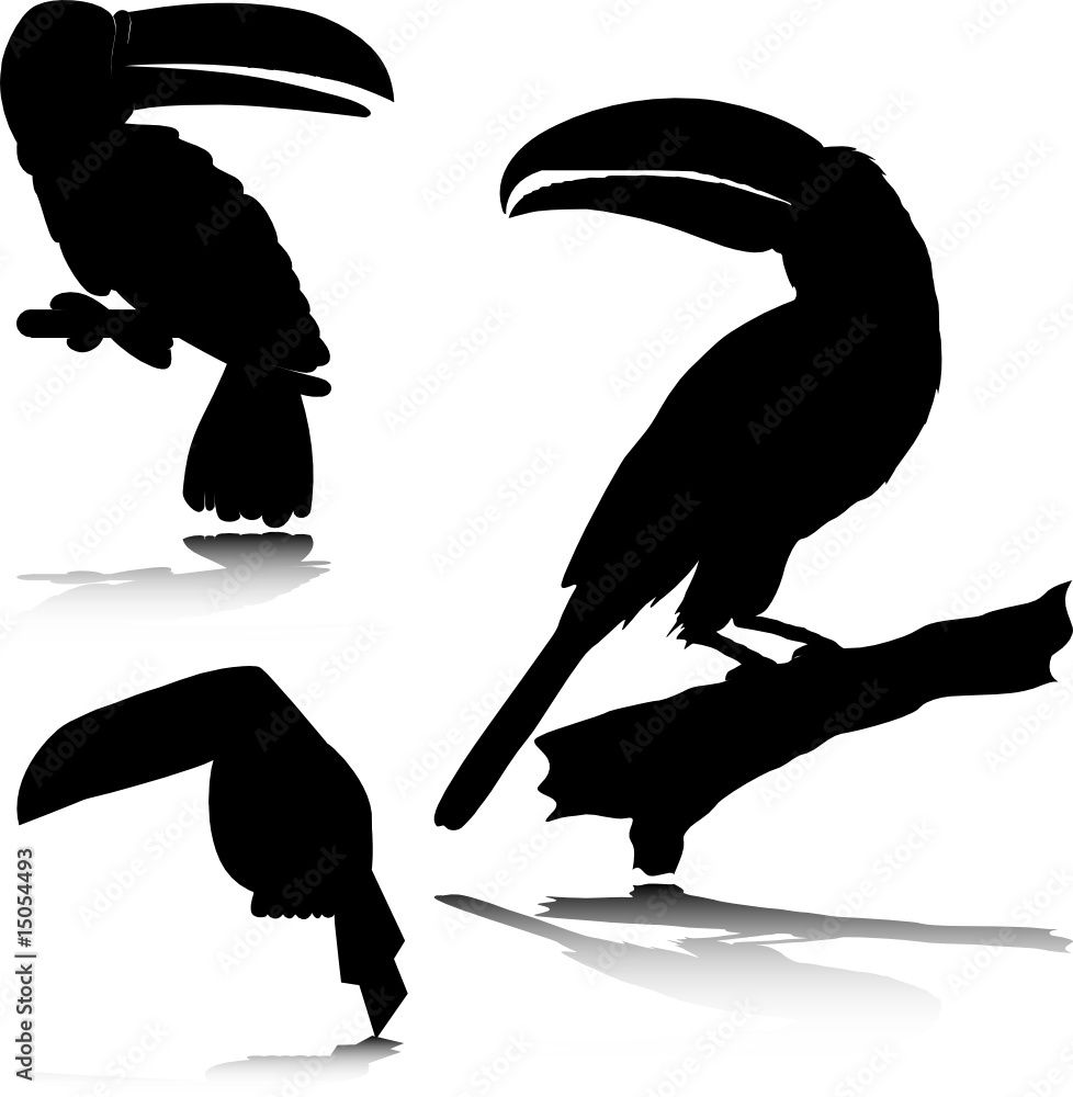 tucan vector silhouettes Stock Vector | Adobe Stock