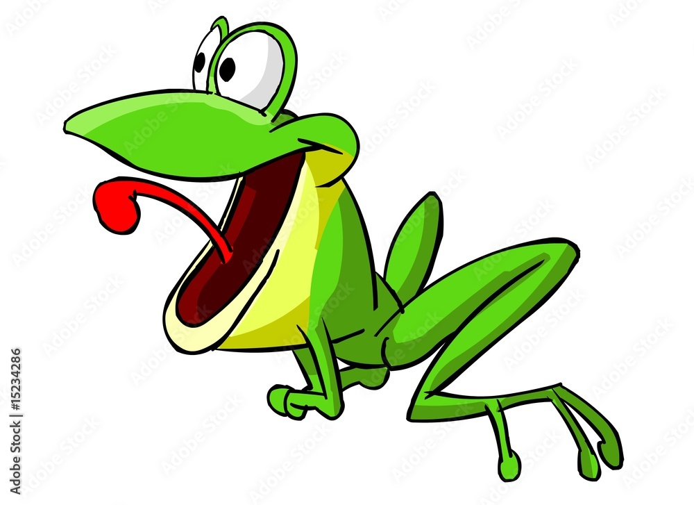 Frog Mouth Open Frog Mouth Open