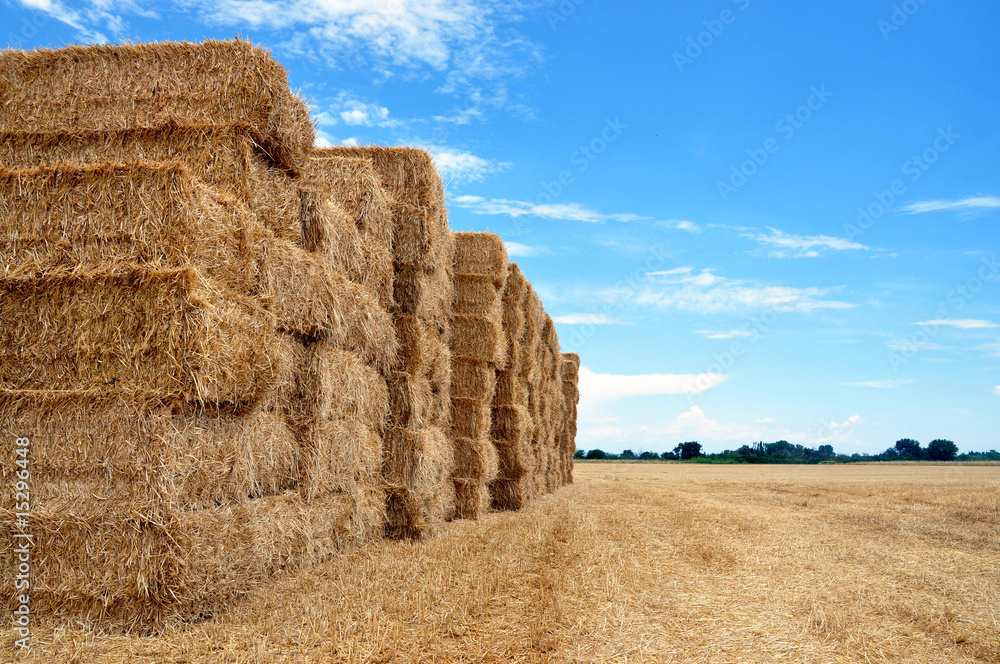 Ballots de paille Photos | Adobe Stock