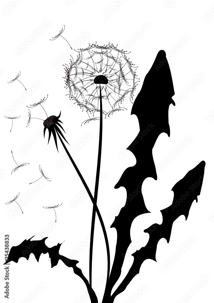 pusteblume illustration Stock Vector | Adobe Stock