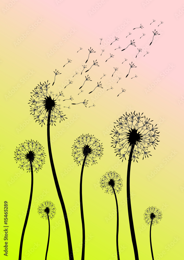 Pusteblume als Silhouette mit Hintergrund Stock Vector | Adobe Stock