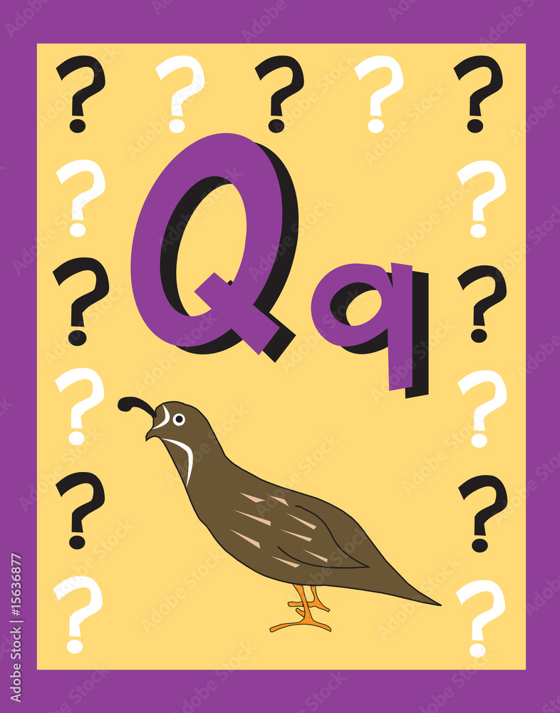 Flash Card Letter Q nouns. See whole alphabet in my series! Stock ...