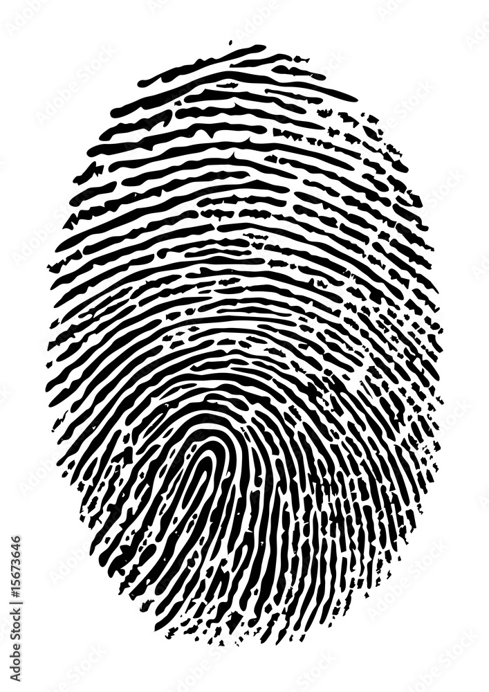 Fingerprint Vector Stock Vector | Adobe Stock
