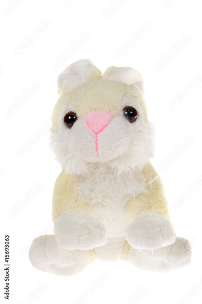 Rabbit Stock Photo | Adobe Stock