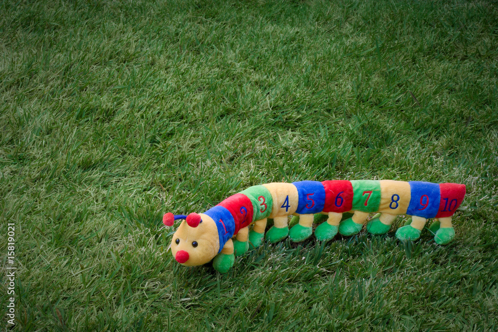 Counting Worm Stock Photo | Adobe Stock