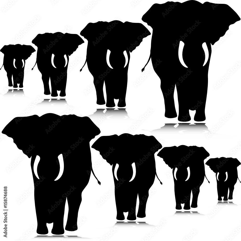 elephant move illustration Stock Vector | Adobe Stock