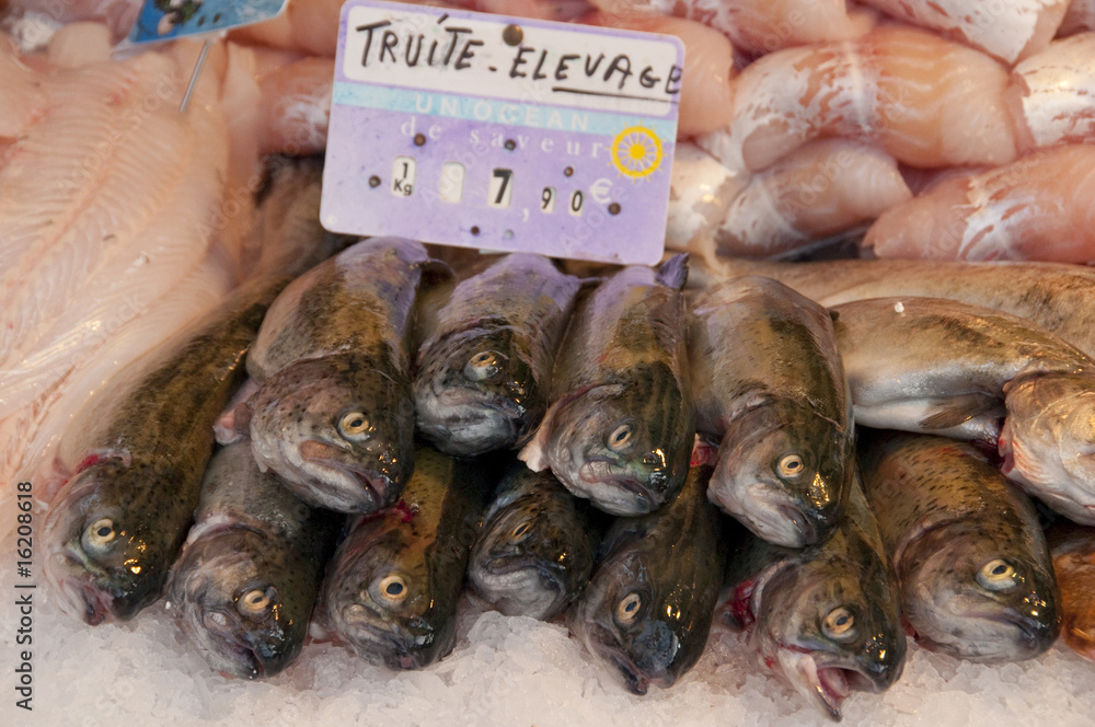 Truites (poissons) sur l'étalage de la poissonnerie sur le march Photos ...