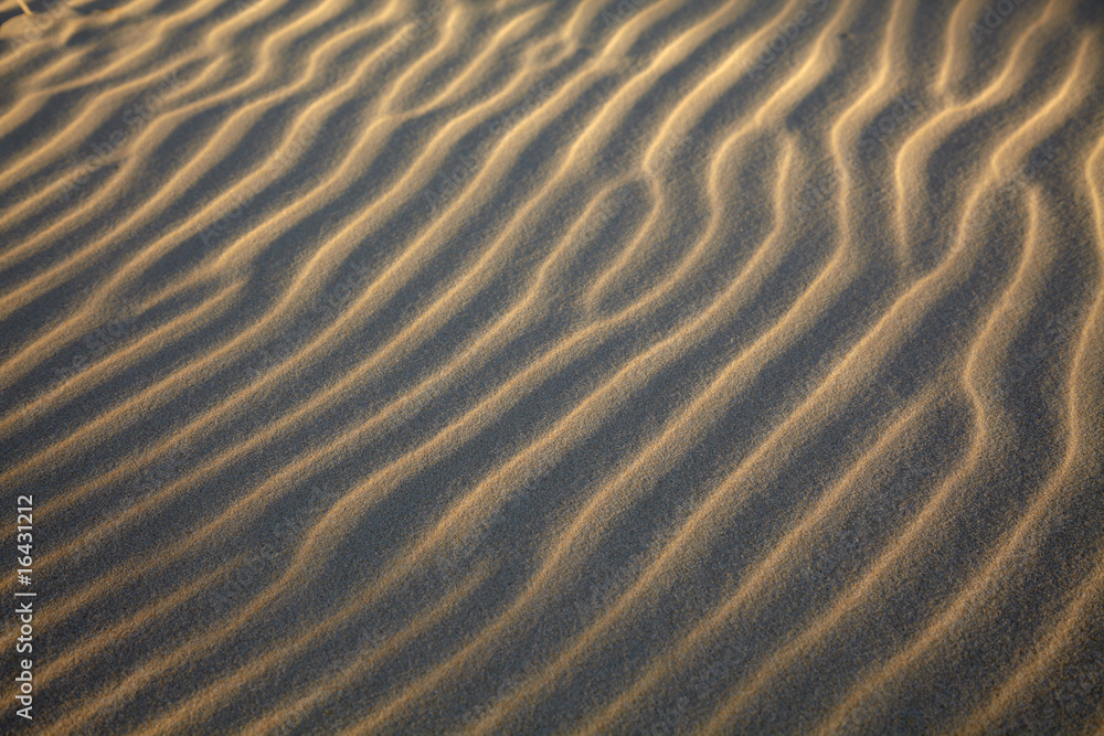 Undulating texture on a sand Stock Photo | Adobe Stock