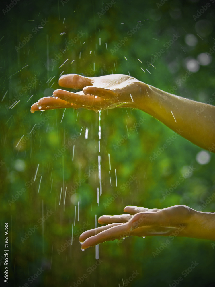 wet hands under rain drops Stock Photo | Adobe Stock